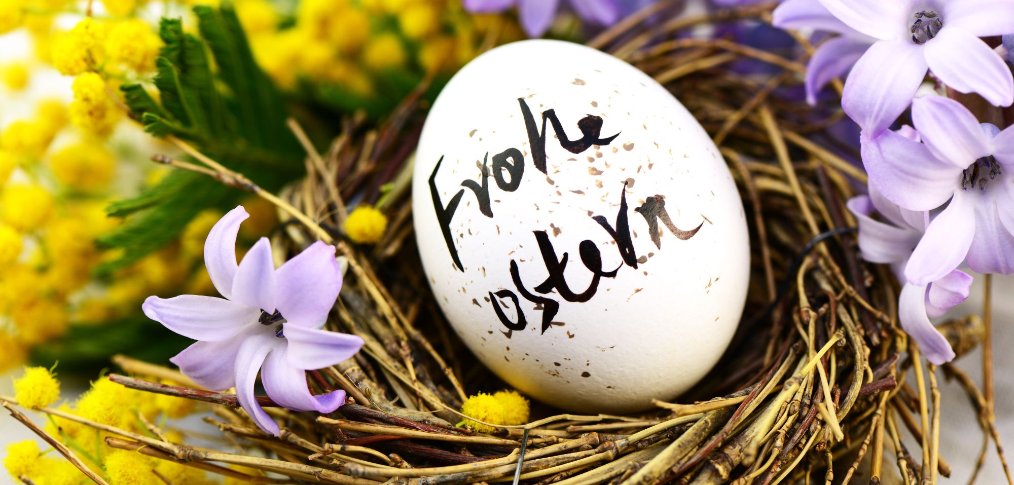 Frohe Ostern: Die 15 besten WhatsApp-Sprüche und GIFs - Futurezone